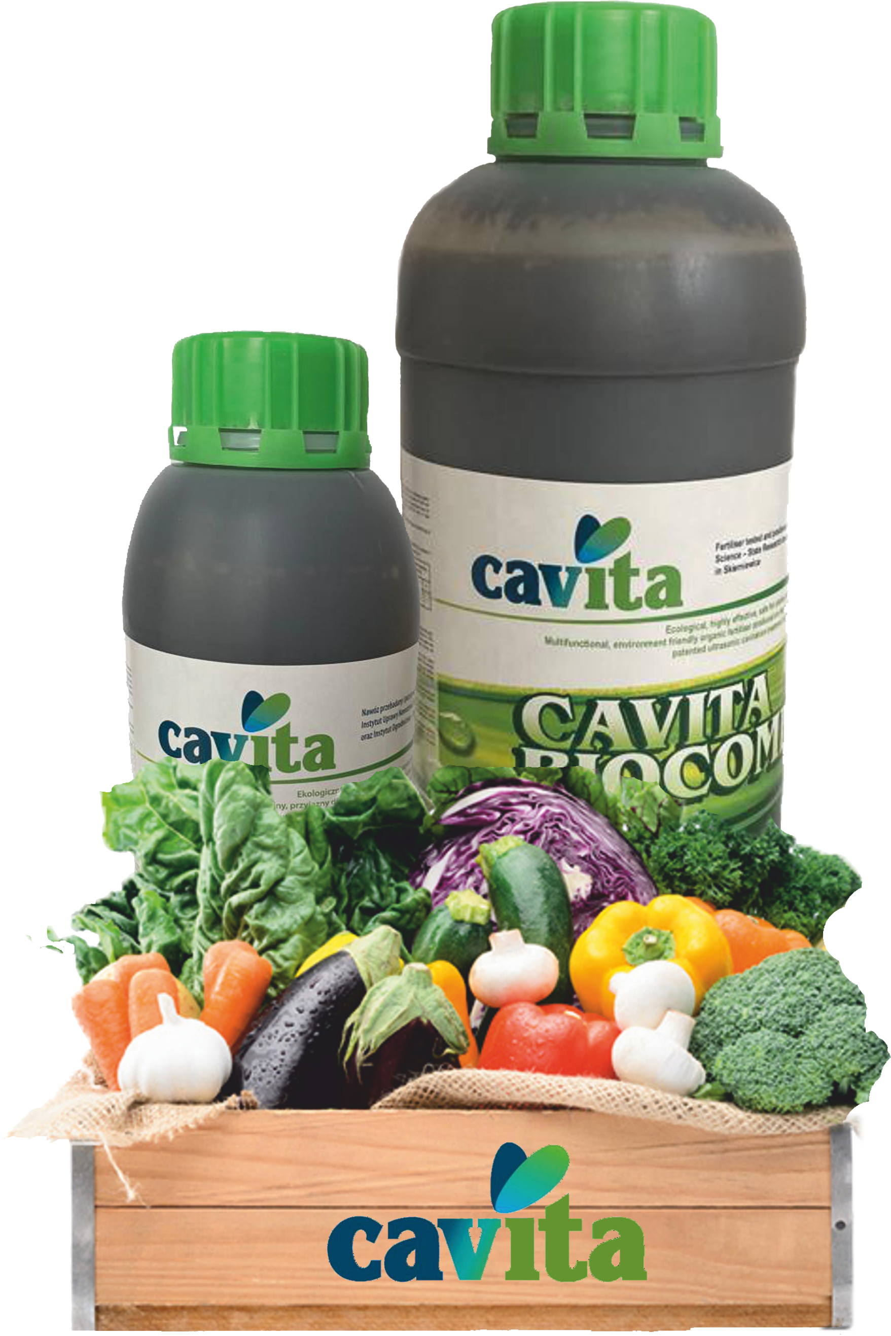 HOME - CAVITA GROUP - New Course of Life!