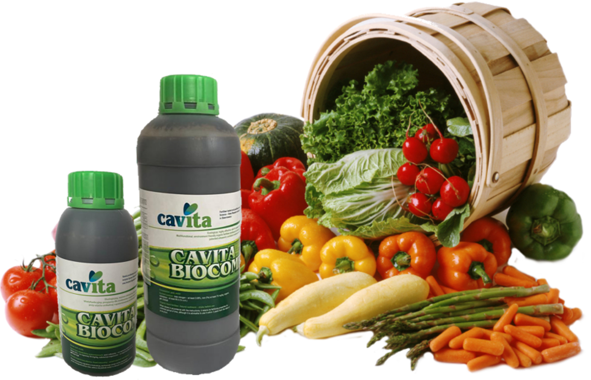 CAVITA BIOCOMPLEX - CAVITA GROUP