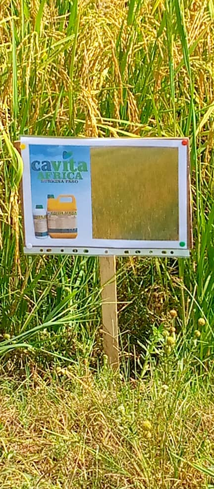 HOME - CAVITA GROUP - New Course of Life!